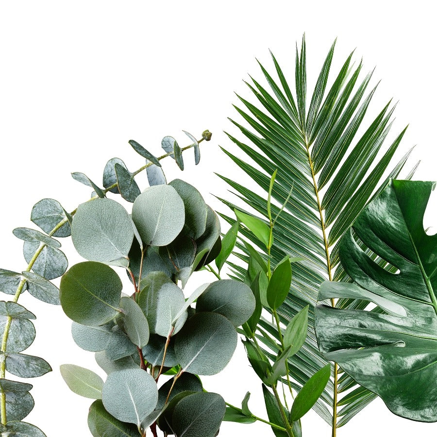 Wholesale Foliage Singapore – Far East Flora Market